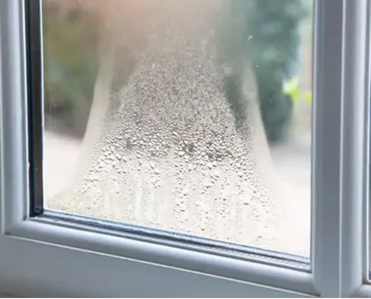 Craig's Window Solutions